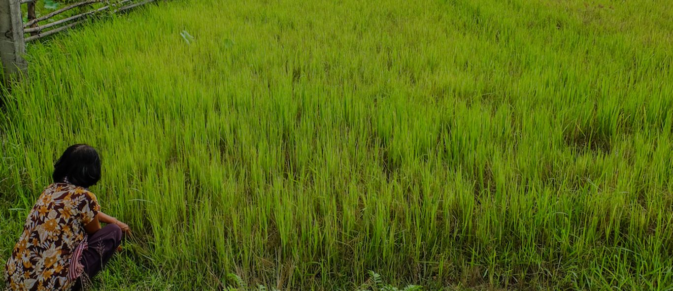 Home [www.openvaluefoundation.org]